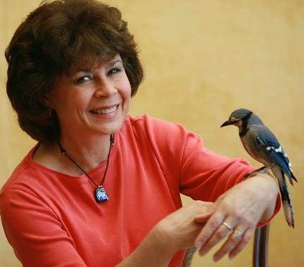 Your Information Source for Blues, the IDL and Beyond.